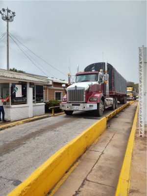 Servicios – Thomas Instruments